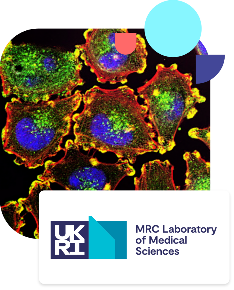 Case study: MRC Laboratory of Medical Sciences new website